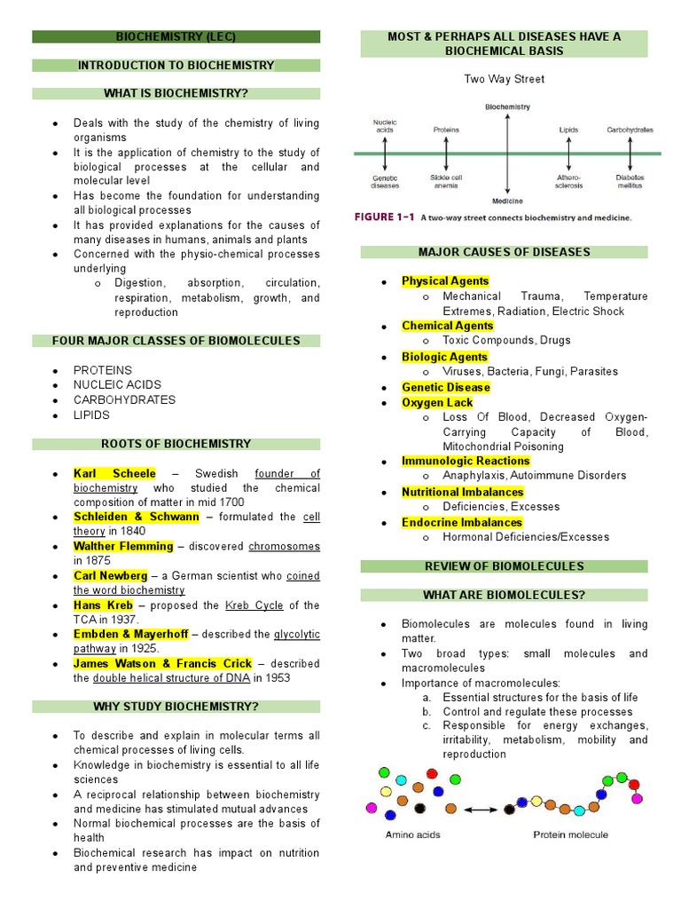 Introduction to Biochemistry Basics | PDF | Biochemistry | Chemistry