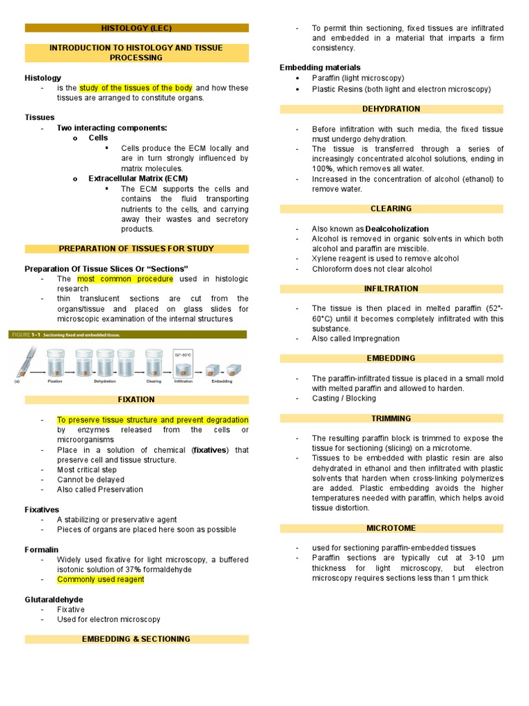 Histology (p1) Introduction To Histology and Tissue Processing | PDF | Histology | Staining