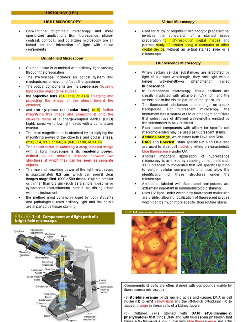 Histology (p2) Introduction To Histology and Tissue Processing | PDF ...