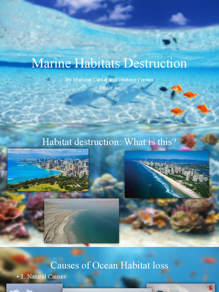 Causes and Solutions for Marine Habitat Loss | PDF | Science & Mathematics