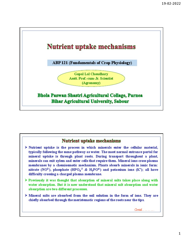 Mechanisms of Nutrient Uptake in Plants | PDF | Soil | Plant Nutrition
