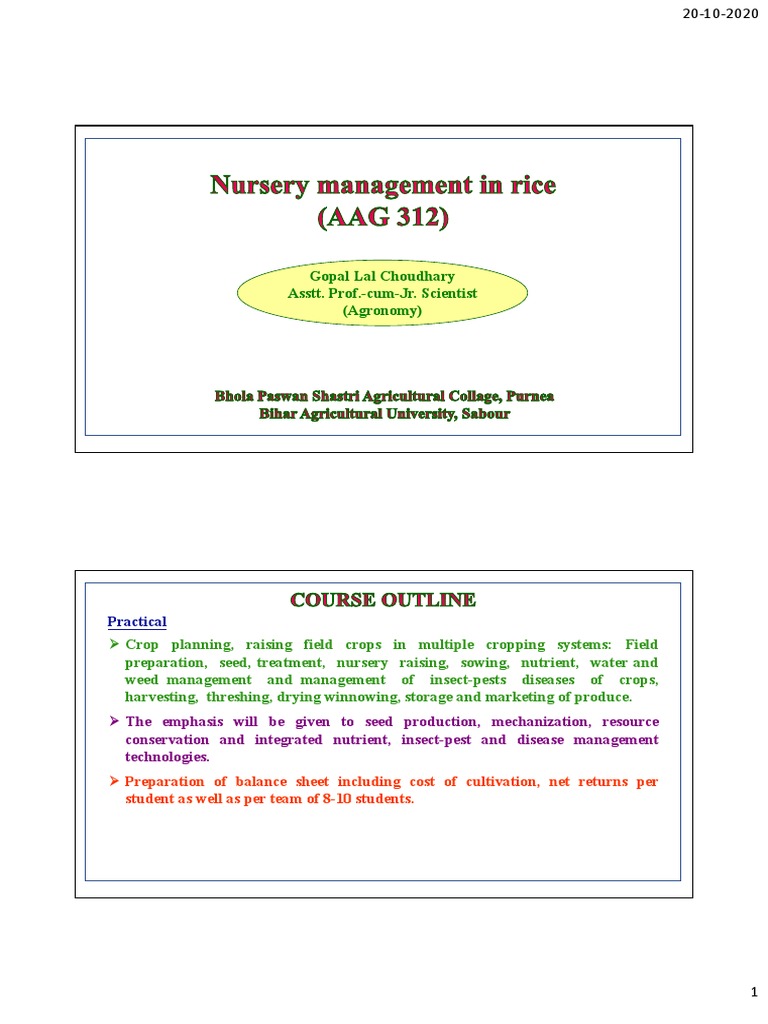 Nursery Management in Rice (AAG 312) | PDF