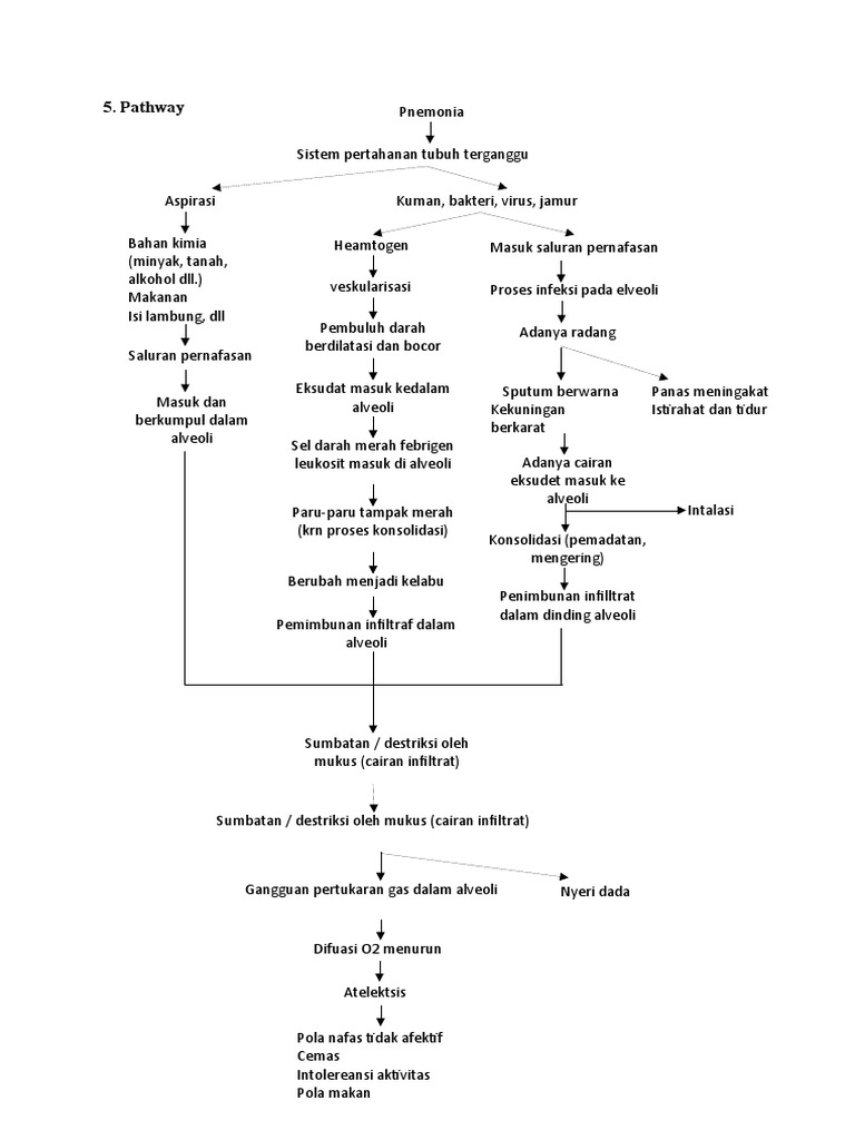 Patway Pneumonia | PDF