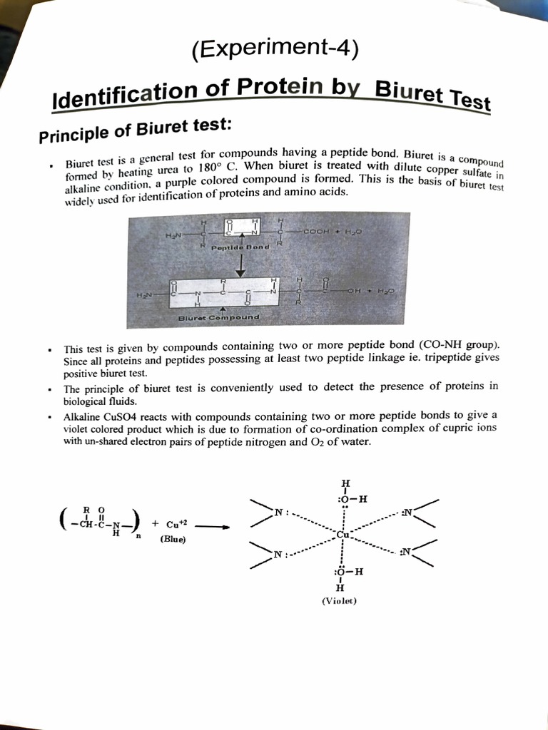 Biruet Test | PDF | Chemical Elements | Atoms