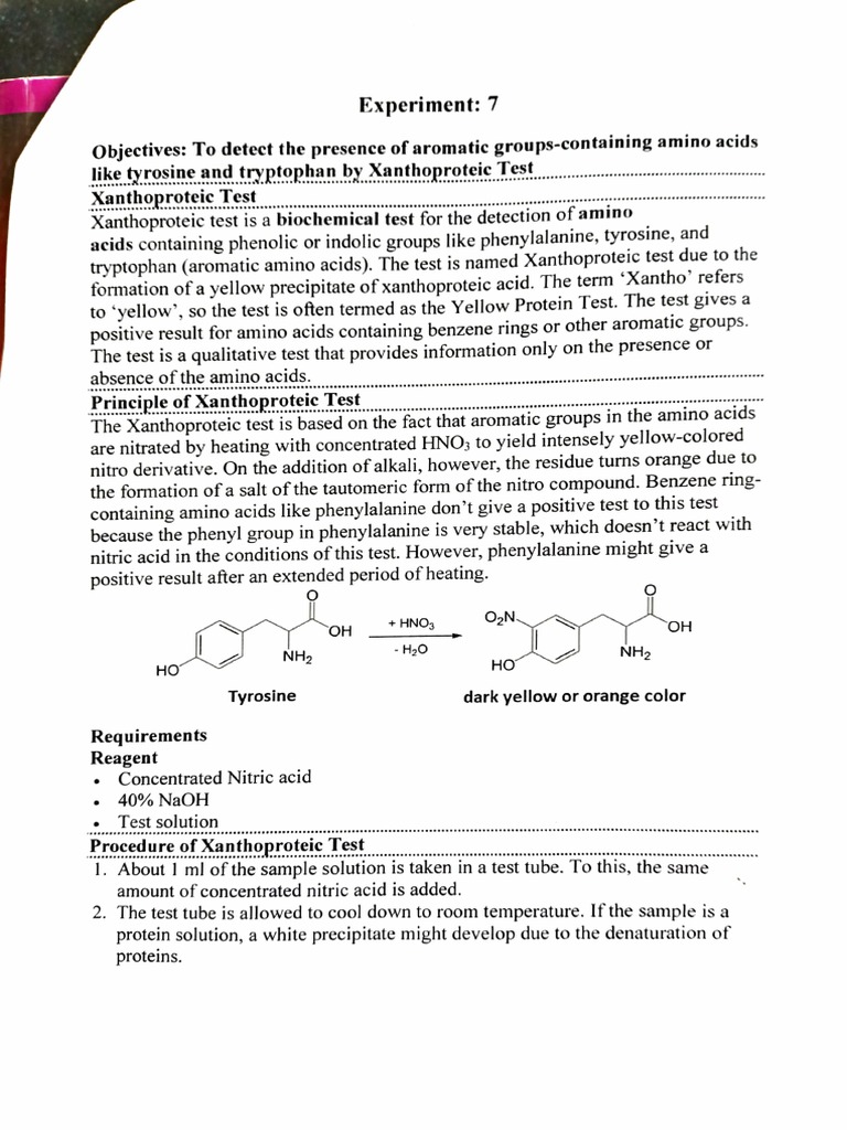 Xanthoproteic | PDF | Phenylalanine | Tyrosine