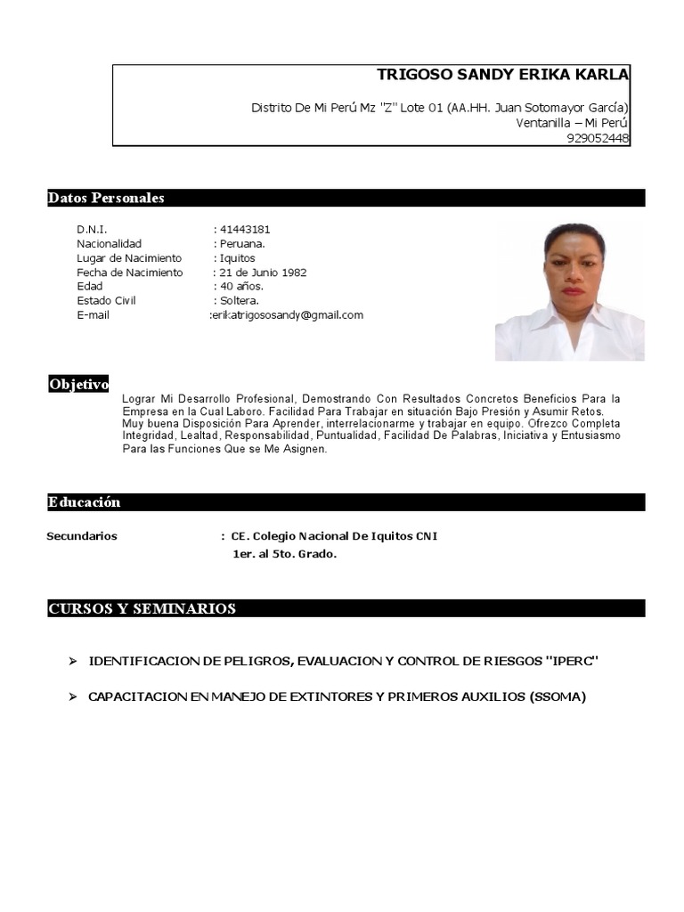 Currículum de Sandy Erika Trigoso | PDF