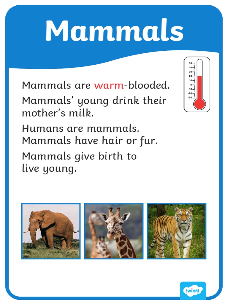 T SC 055 Animal Groups Display Poster Photos - Ver - 15 | PDF