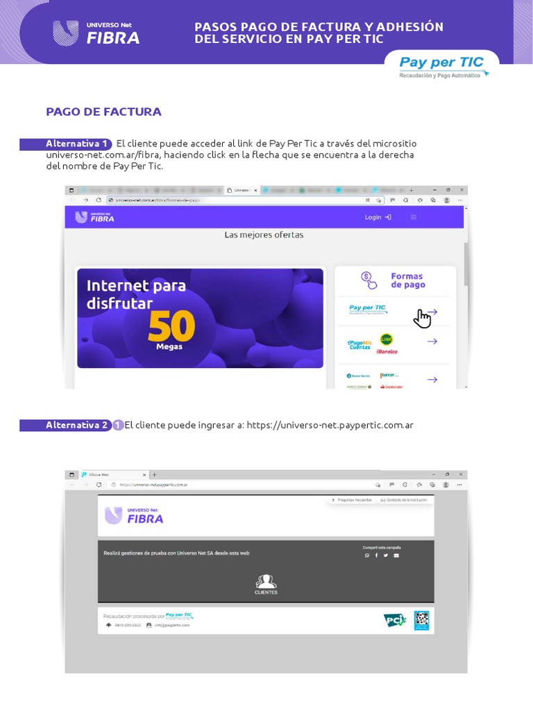 Instructivo Pay Per Tic 03 2022 | PDF | Industrias de servicio | Informática