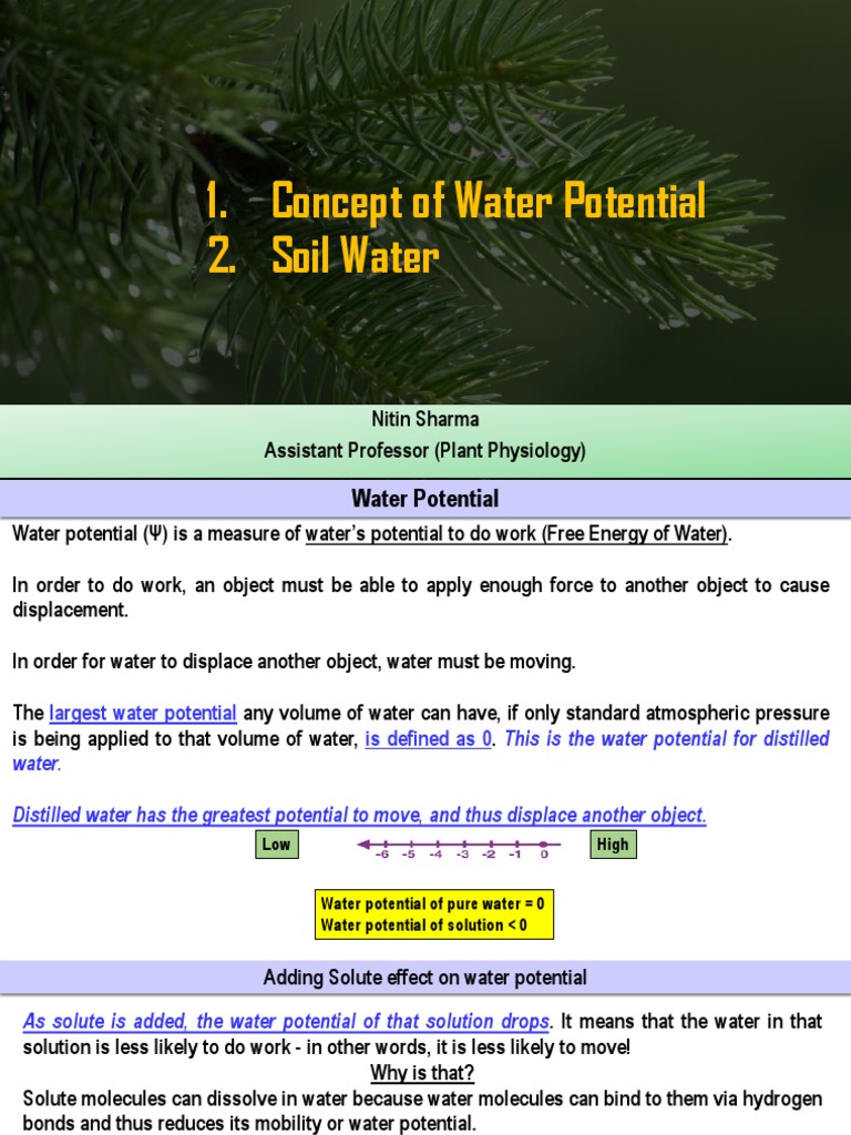 Water Potential and Soil Water | PDF | Soil | Chemistry