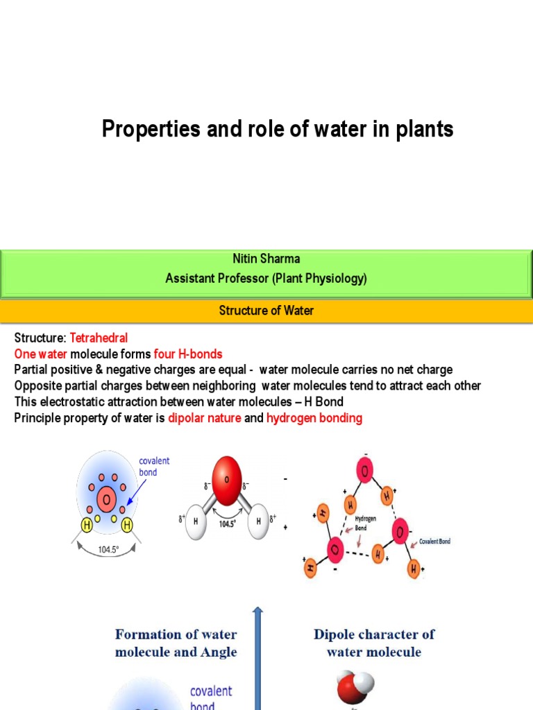 Properties and Functions of Water BSB 111 | PDF | Osmosis | Properties ...