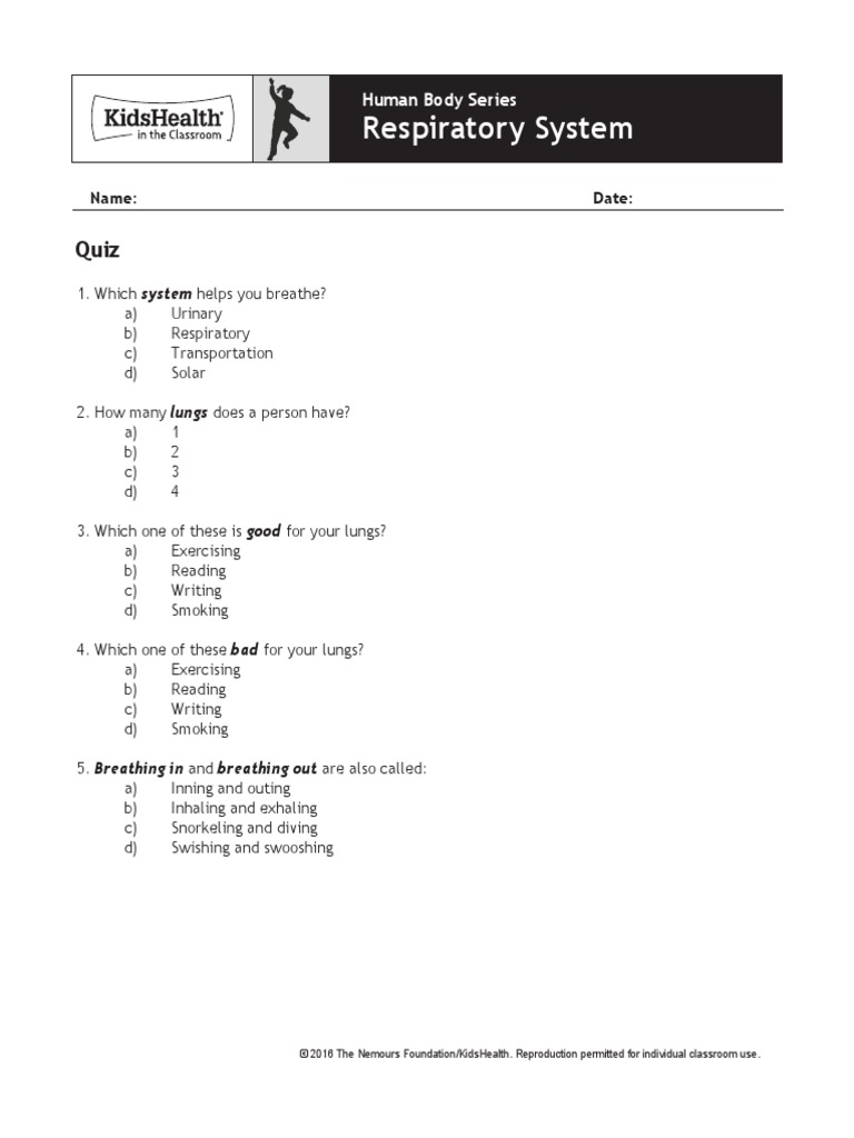 Respiratory Quiz | PDF