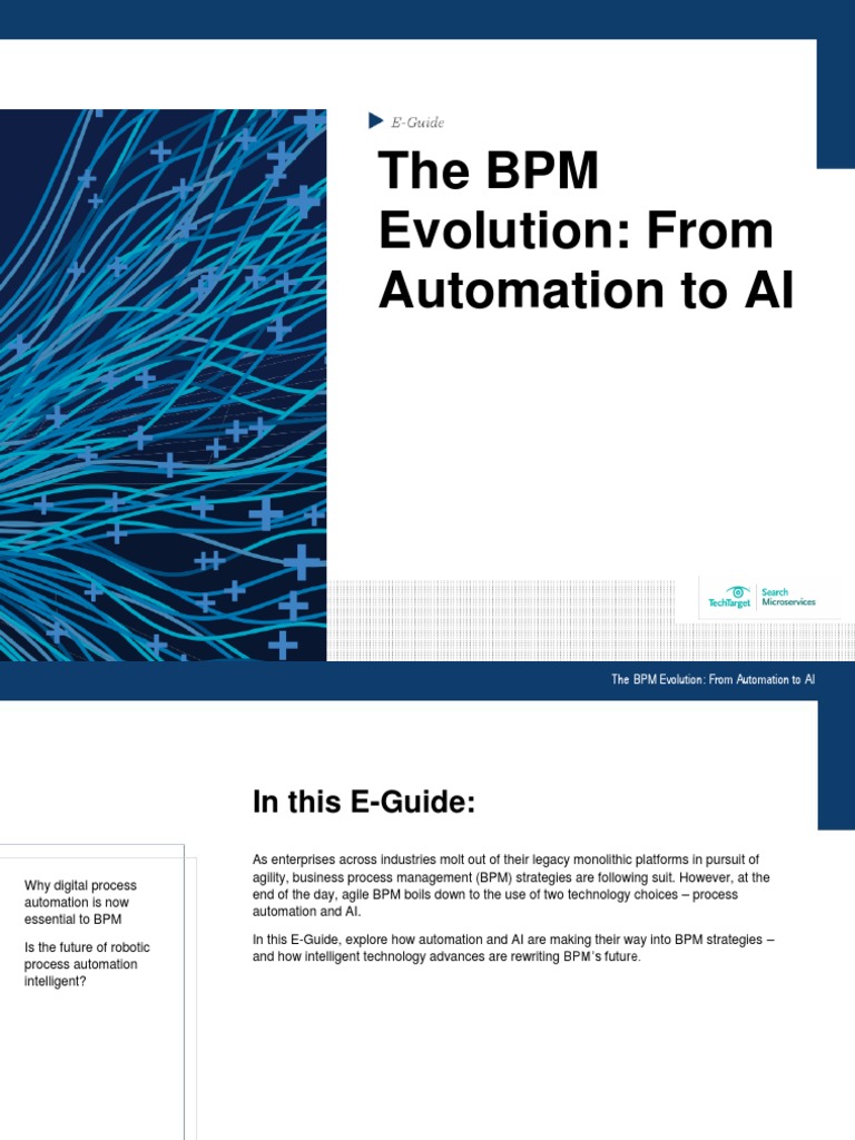 BPM Guide | PDF | Business Process Management | Automation