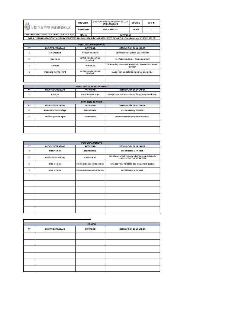 Modelo de Daily Report 1 | PDF