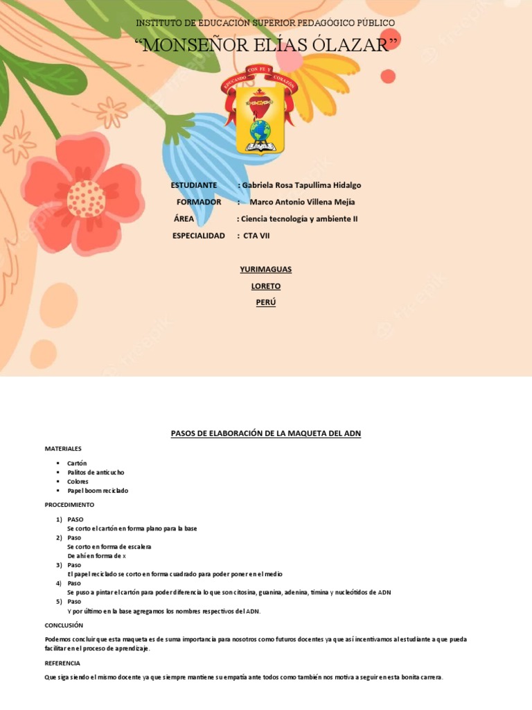 Maqueta de ADN: Guía Paso a Paso | PDF