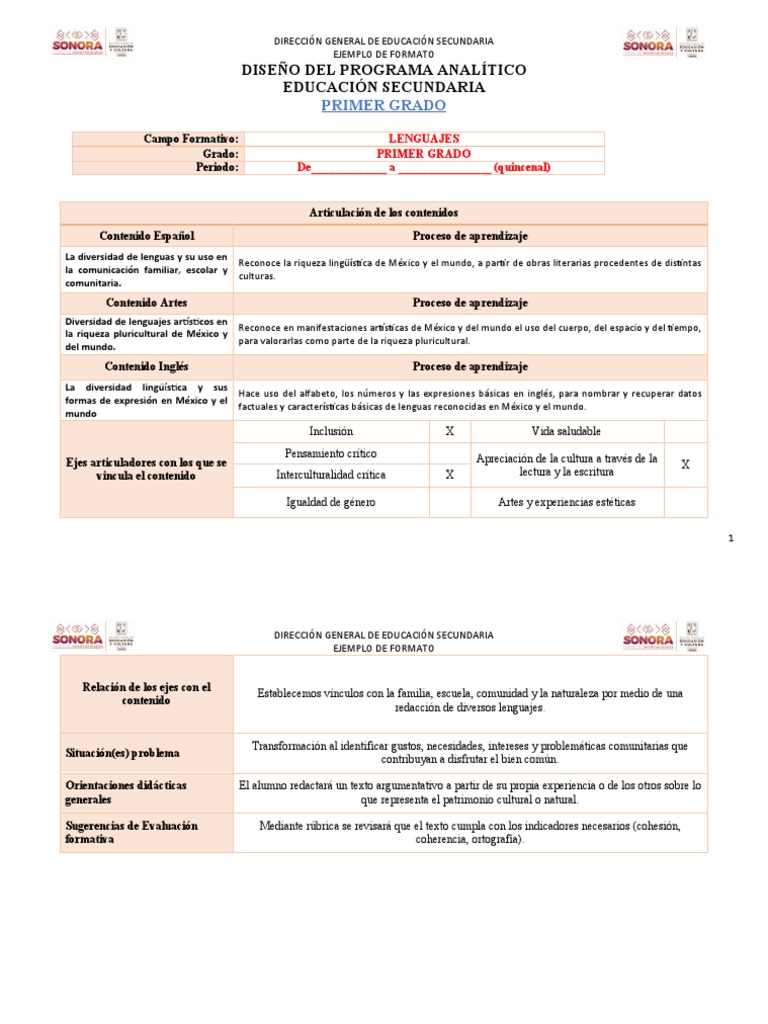 Ejemplo Programa Analítico Formato | PDF | Aprendizaje | Inclusión ...