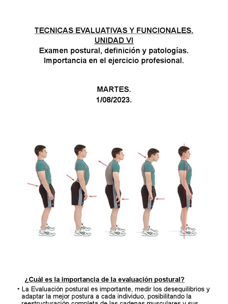 12-Examen Postura, Importancia. | PDF | La columna vertebral | Terapia física