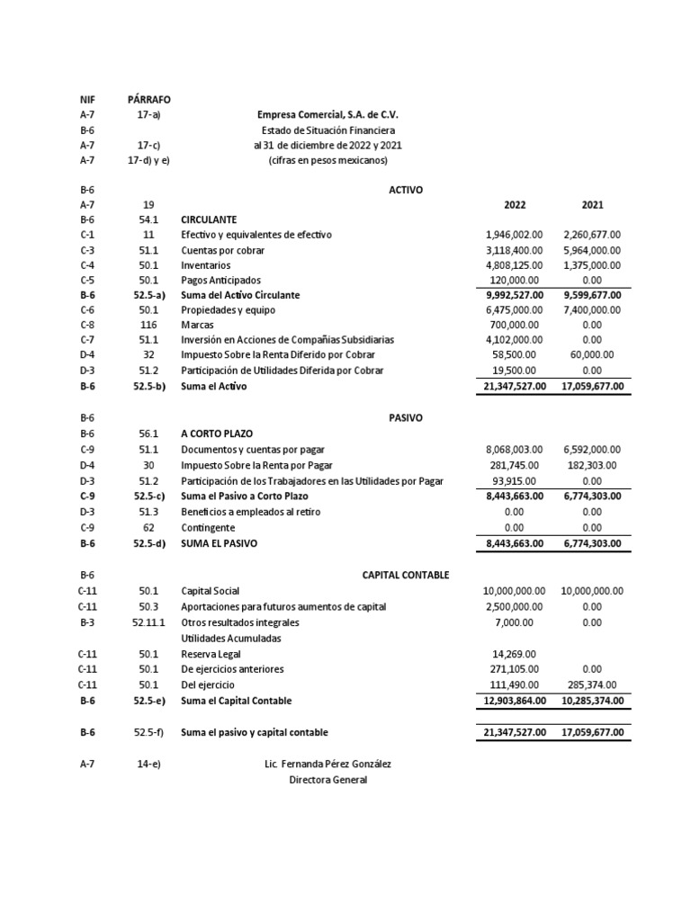 Estados Financieros 2022 Formato para Pres Anual | PDF | Inversiones | Contabilidad