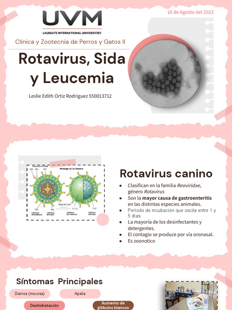 Sida Leucemia | PDF | Infección | Gatos