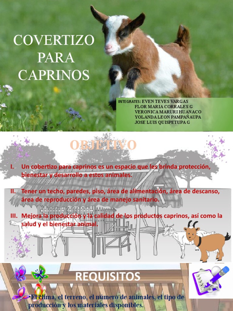 Cobertizo Eficiente para Caprinos | PDF | Ciencia y matemáticas | Tecnología