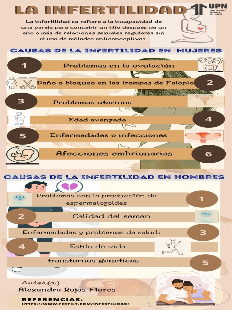 InfografíA de La Infertilidad y Sus Causas | PDF