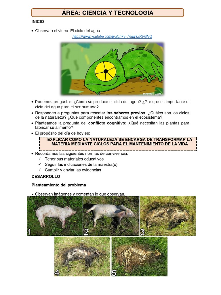 CICLO DE LA NATURALEZA Miercoles | PDF | Agua | Dióxido de carbono