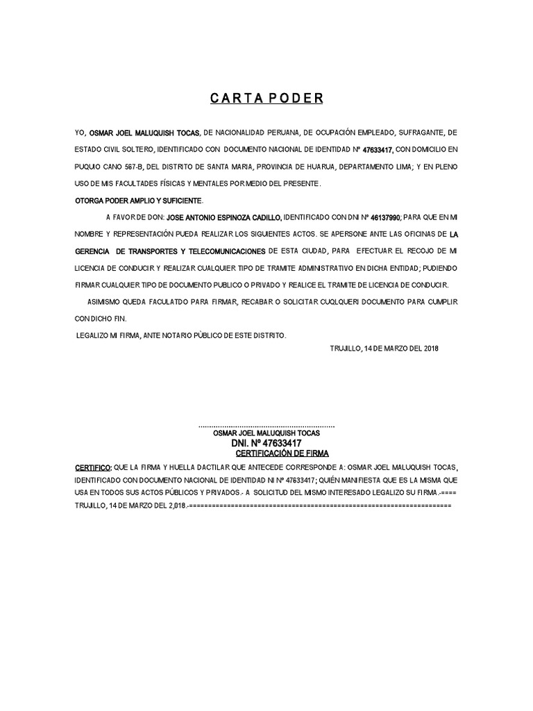 Carta Poder Min Trans Pdf
