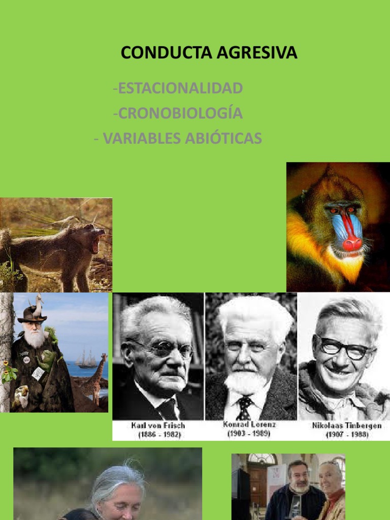 Conducta Agresiva | PDF | Biología | Etología