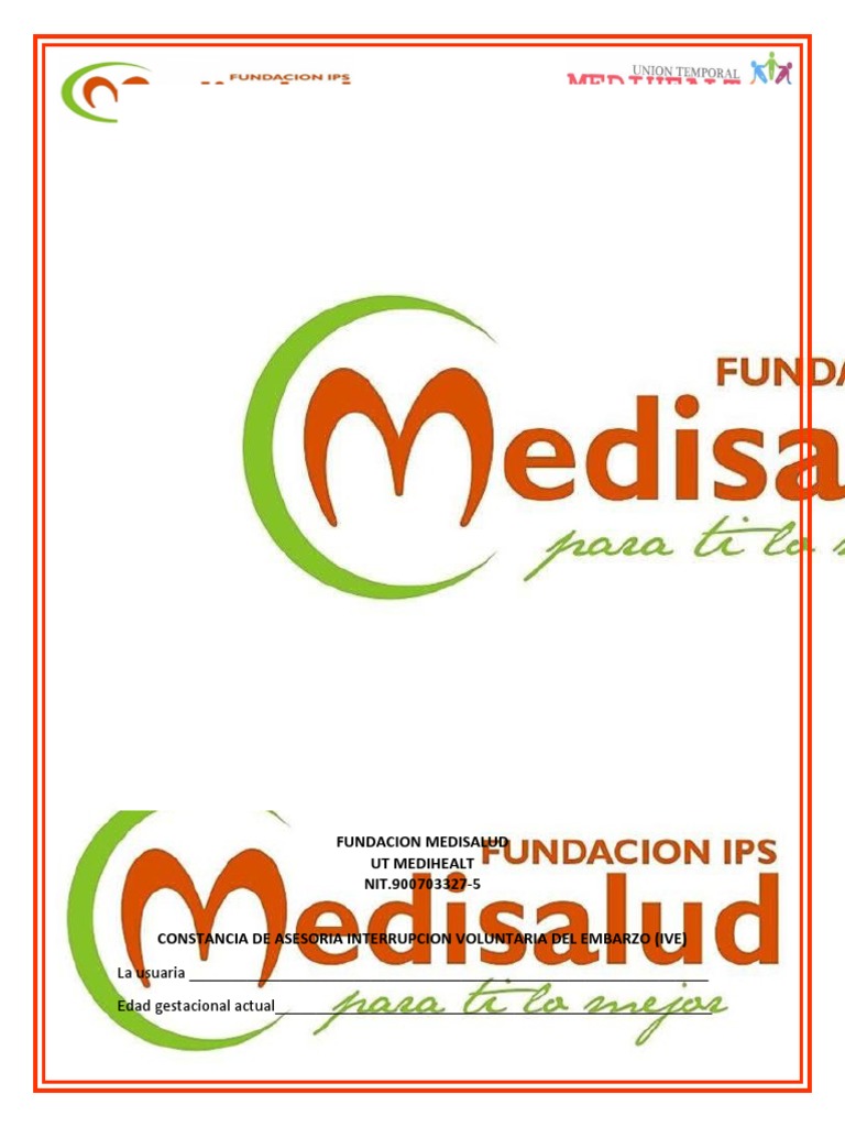 Formato Asesoria Ive 2 | PDF