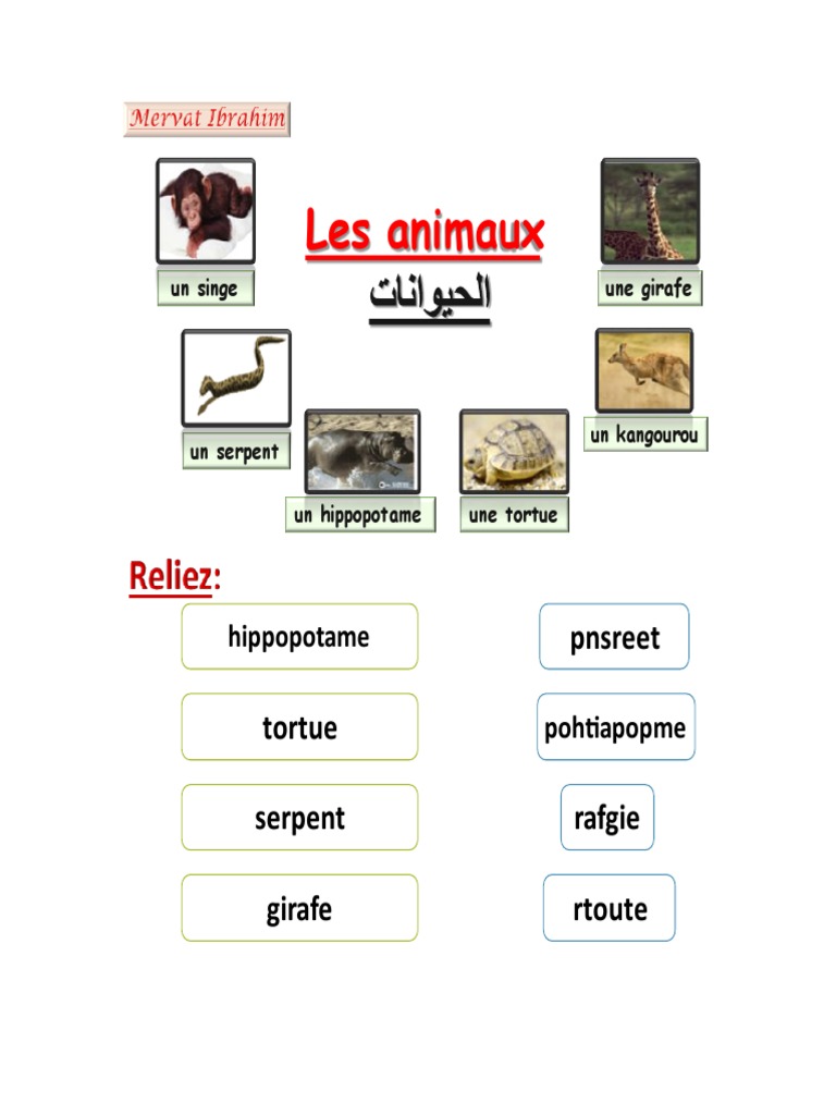 Les Animaux | PDF