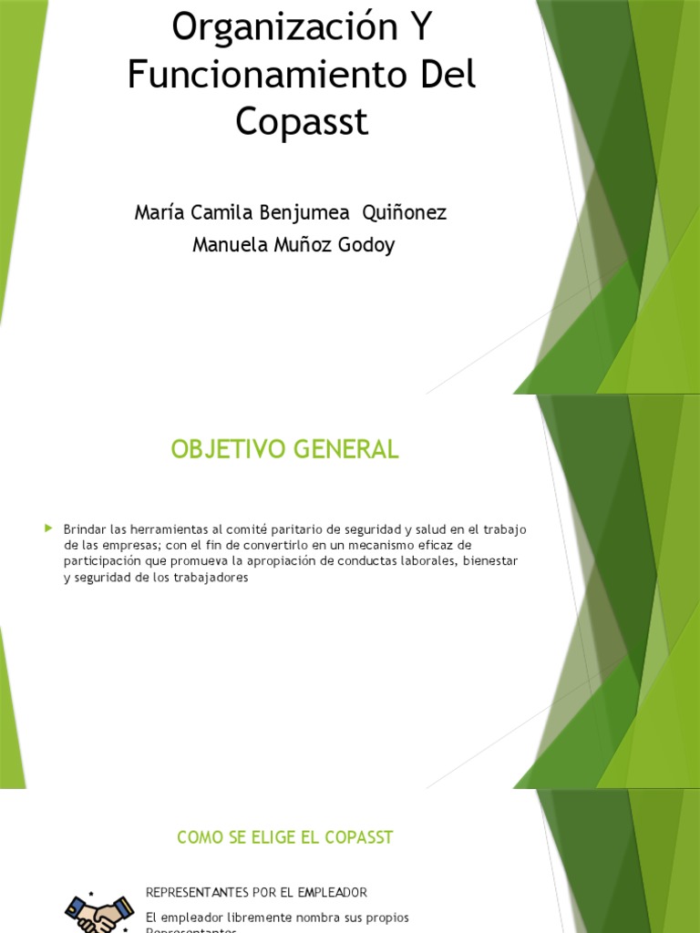 Organización Y Funcionamiento Del Copasst | PDF | Negocios económicos ...