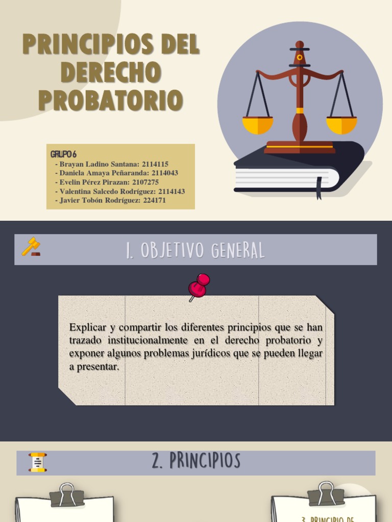 Principios Del Derecho Probatorio | PDF | Evidencia (ley) | Violación