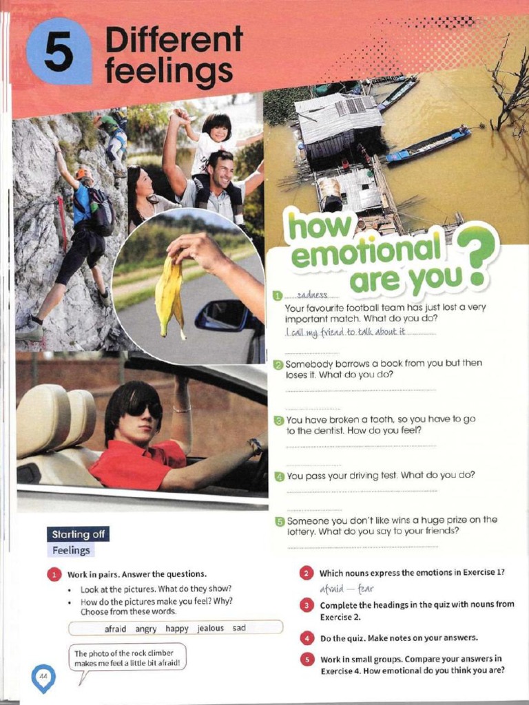 PET Student S Book (B) | PDF