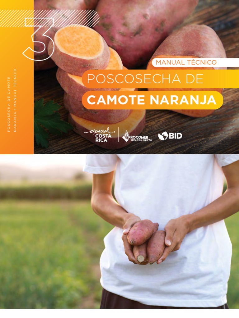 Manual Técnico de Poscosecha de Camote | PDF | Agua | Cosecha