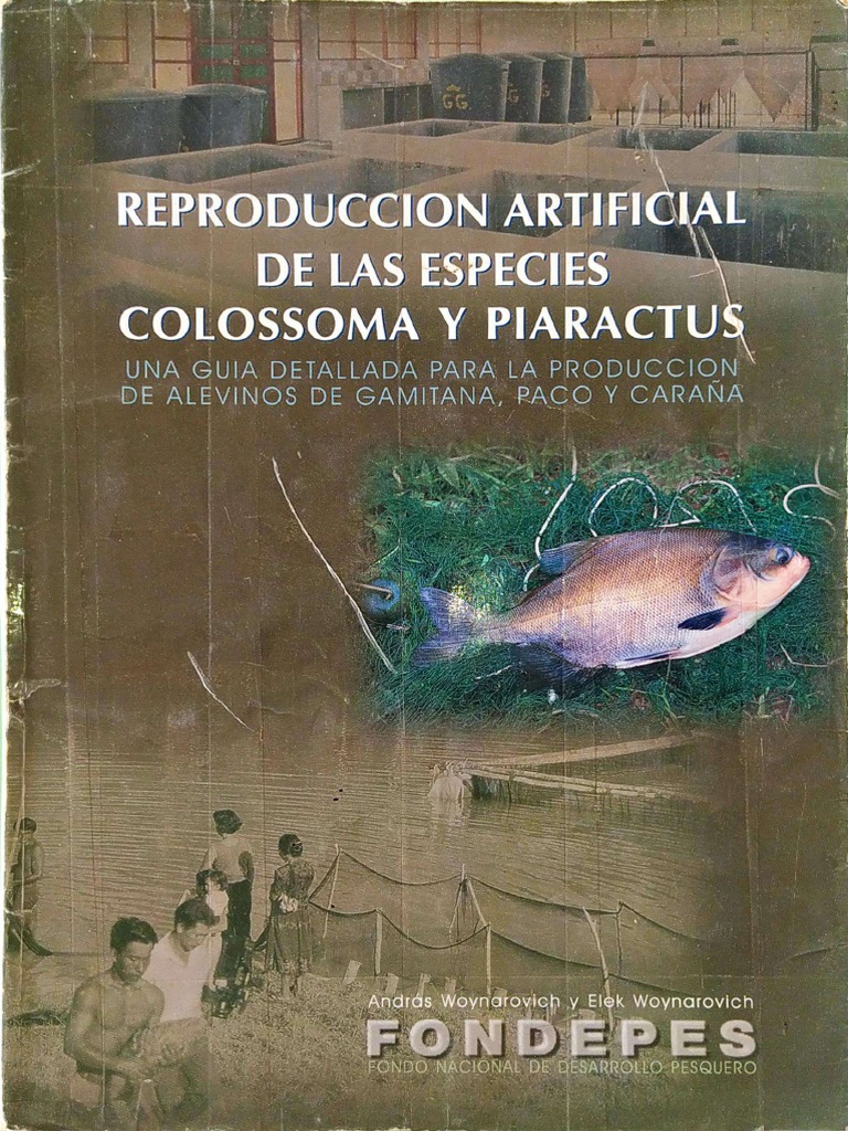 Manual Reproduccion Artificial SP Colossoma y Piaractus | PDF