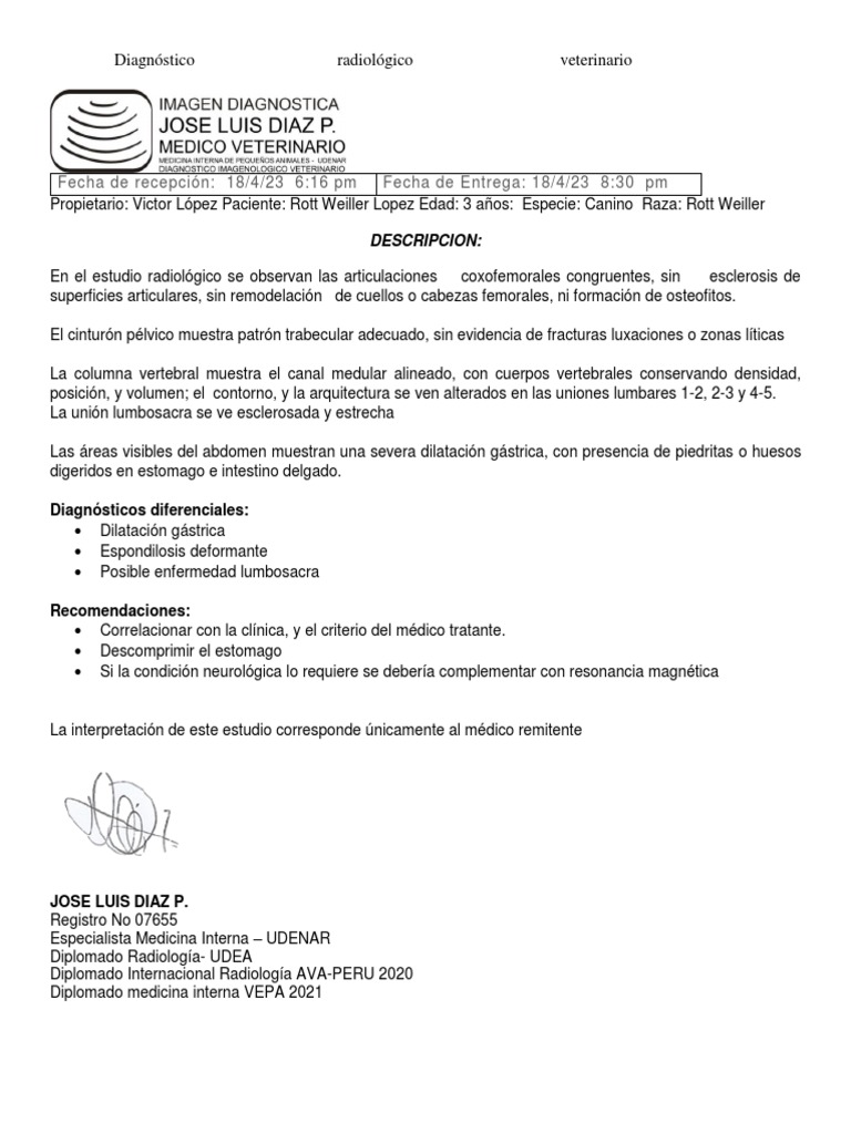 RX de Perro | PDF | Salud y bienestar | Ciencia y matemáticas