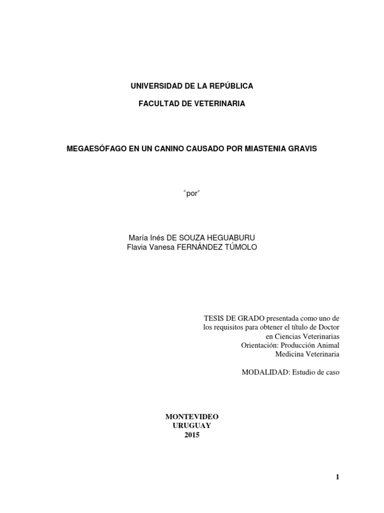 Megaesófago en Un Canino Causado Por Miastenia Gravis | PDF | Esófago ...