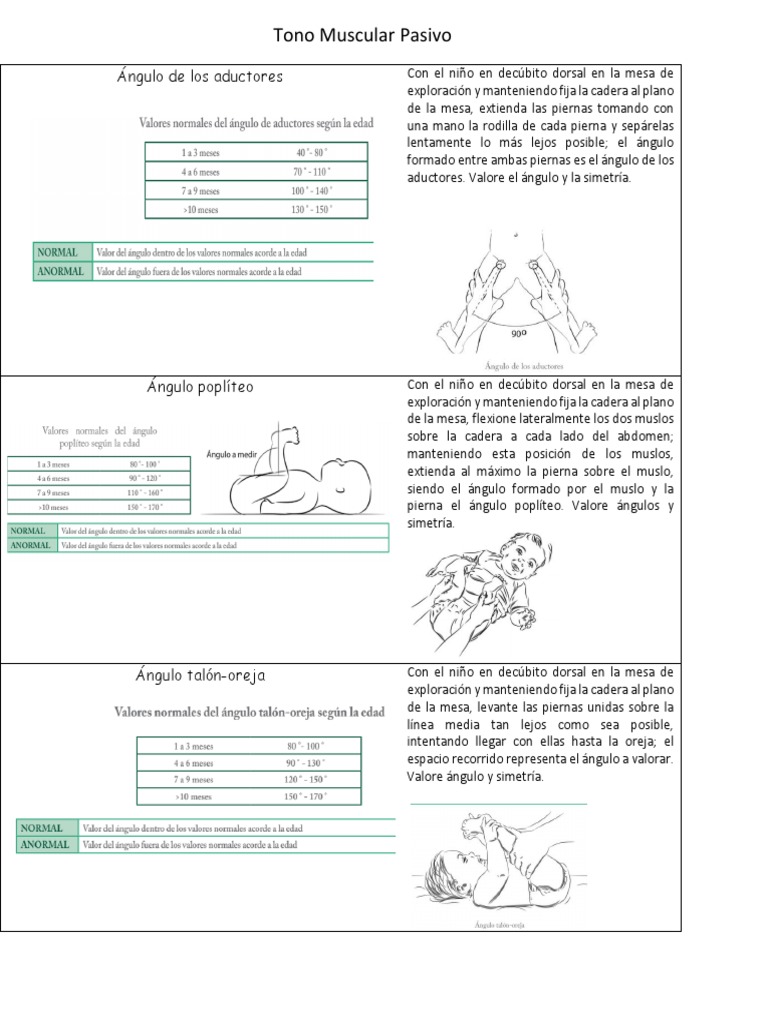 MSN Complemento Unidad 1 | PDF | Pie | Mano