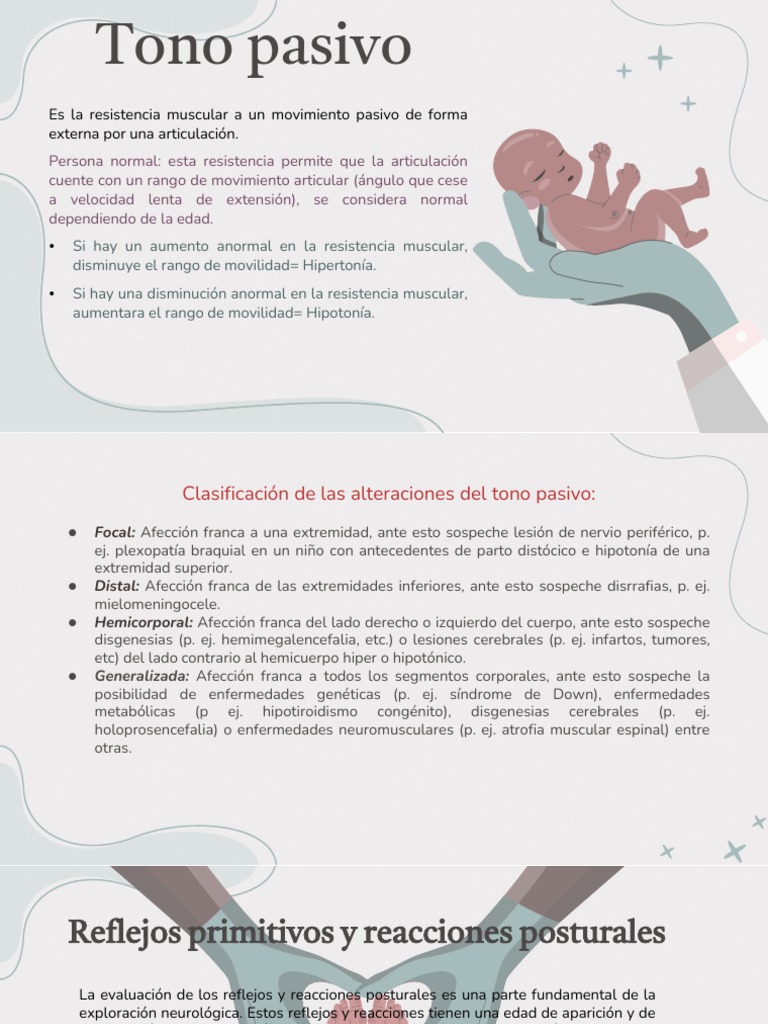 Tono Muscular | PDF | Nervio | Neurona motora