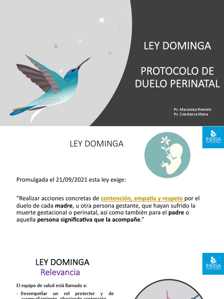 Capacitación-Ley-Dominga-y-Duelo-Perinatal | PDF | Dolor | Partería