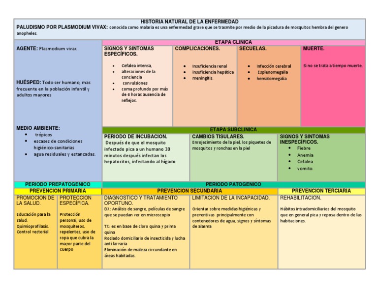 Historia Natural de La Enfermedad Paludismo | PDF | Malaria | Microbiología