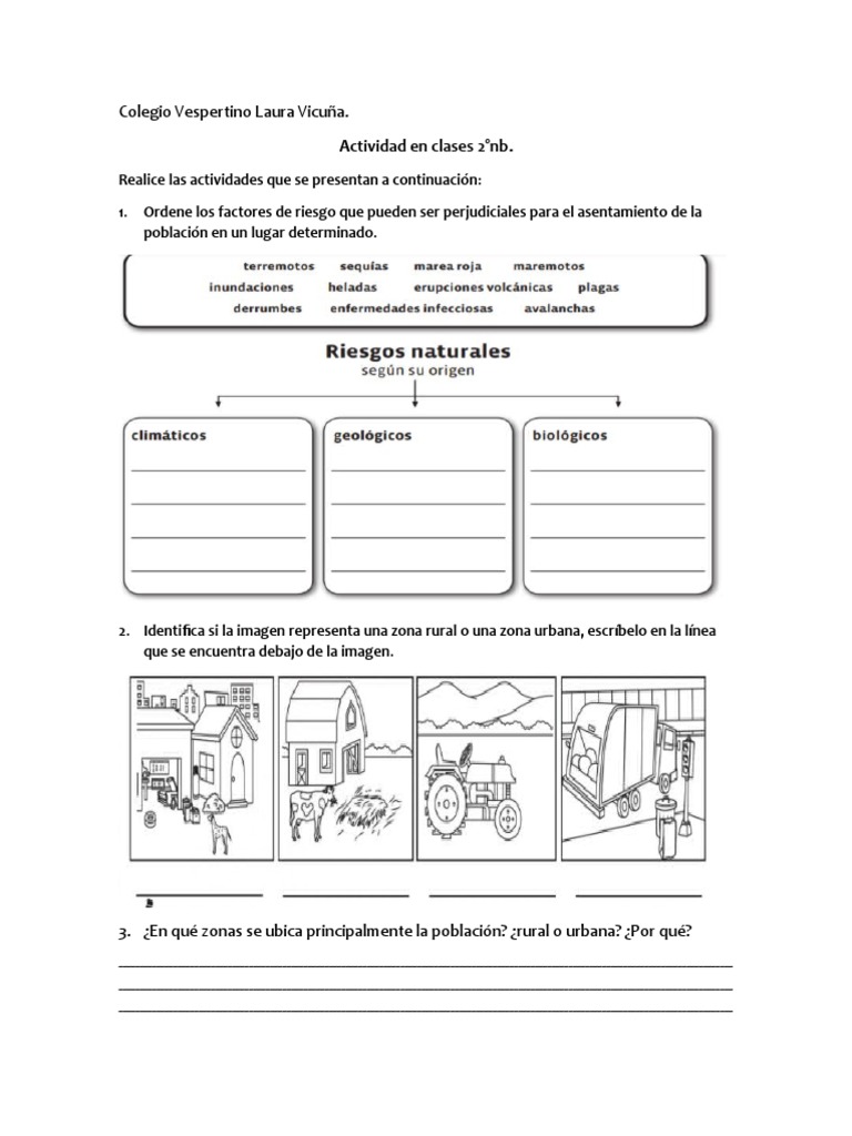 Actividad de Clases 2°NB | PDF
