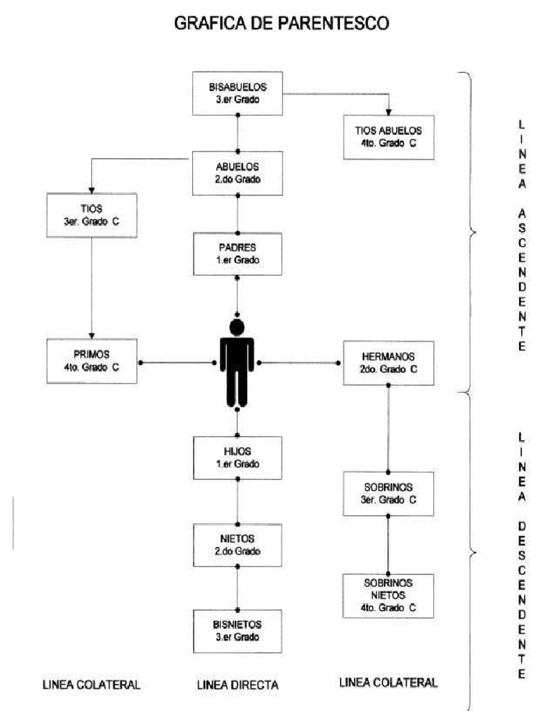 Grafica Parentesco | PDF