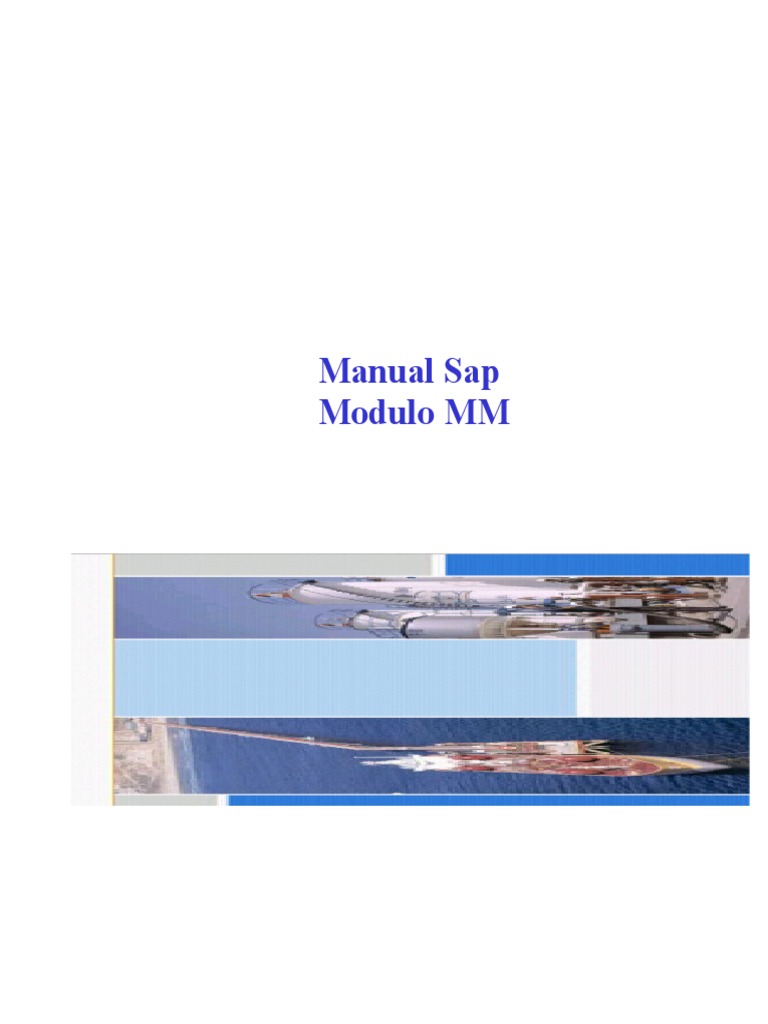 Manual SAP MM: Gestión de Materiales | PDF | Planificación de recursos ...