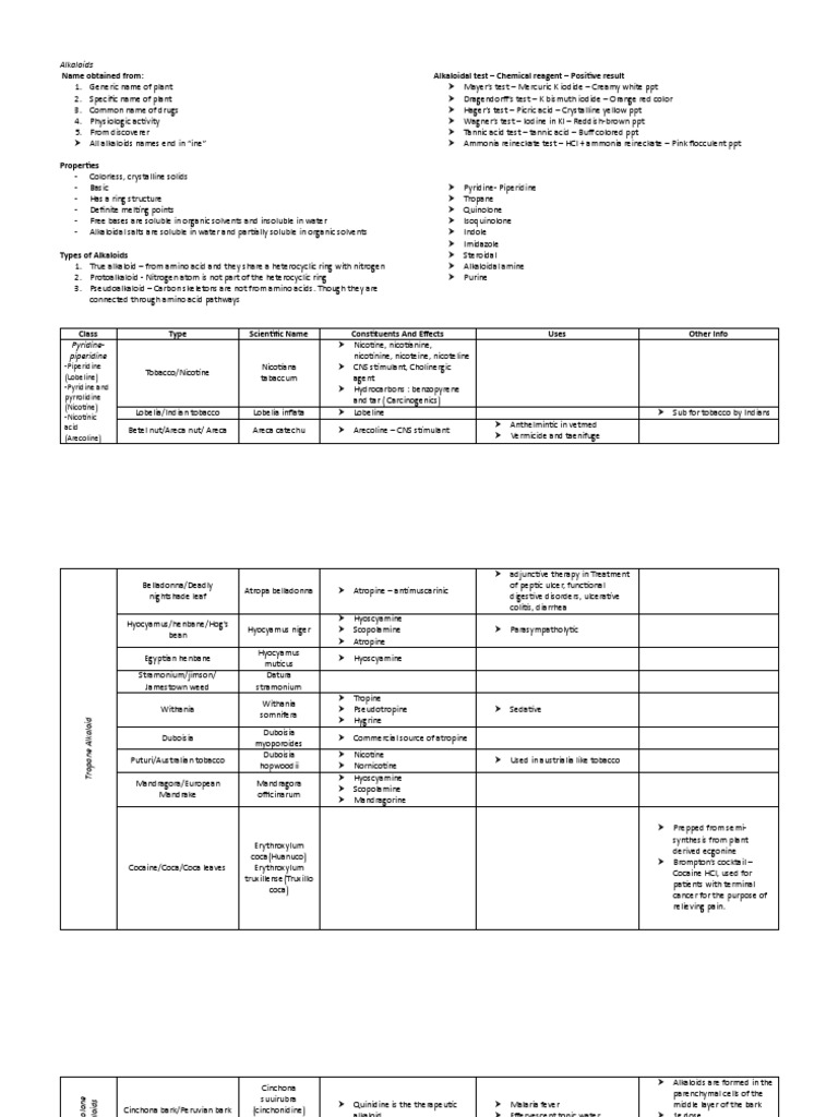 Sas 8 Pdf