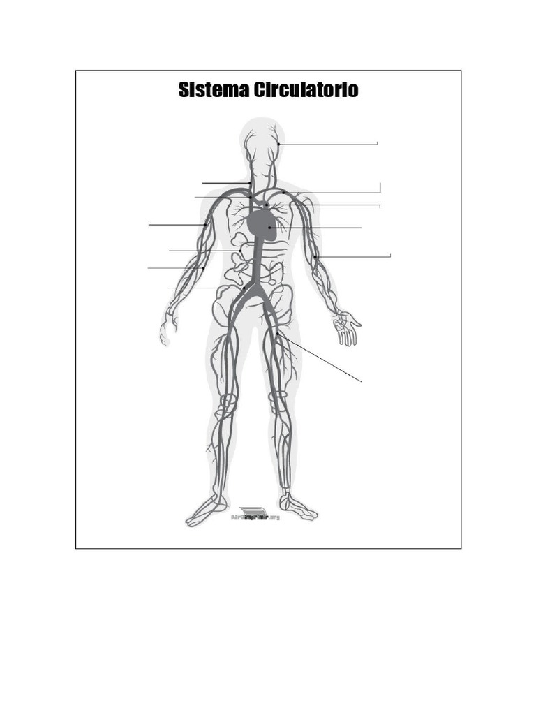 Tarea Miercoles PDF