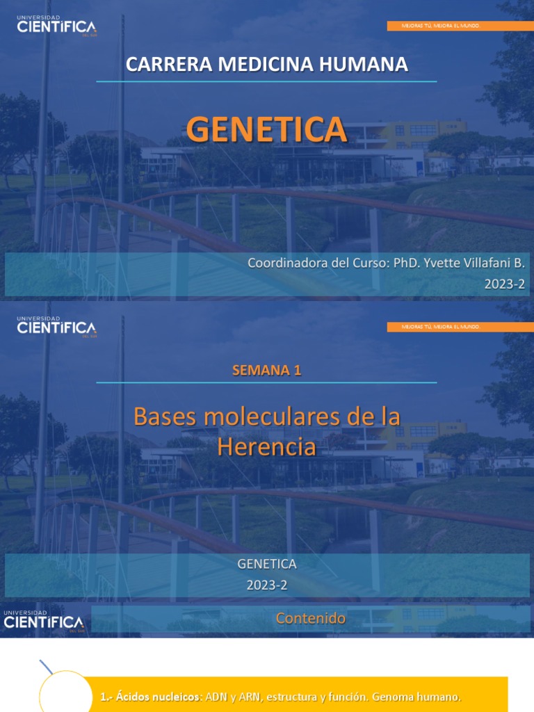 Genetica UCSUR - T1 - Bases Moleculares de La Herencia | PDF | Rna | Adn