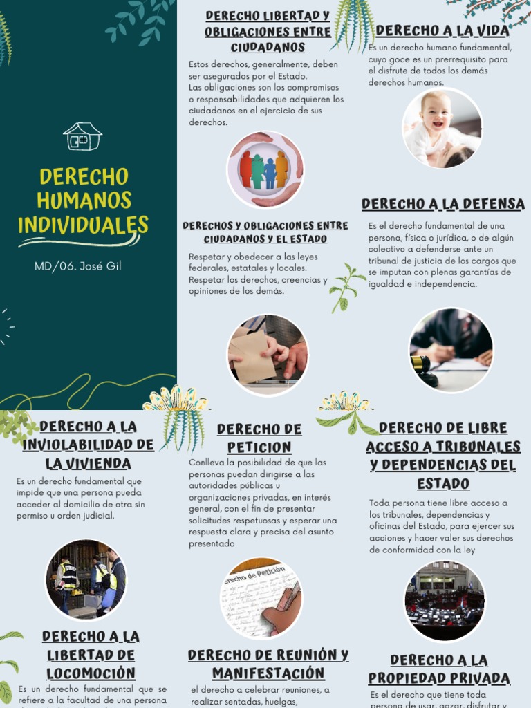 Derecho Humanos Individuales | PDF | Derechos | Derecho Constitucional