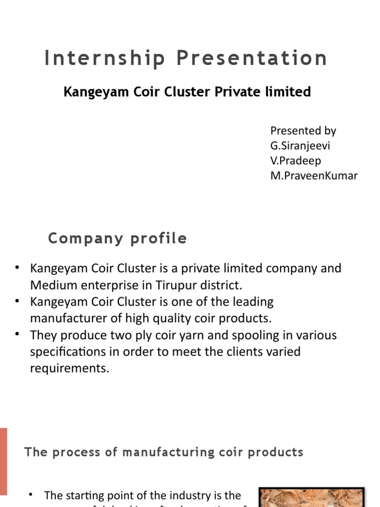 Internship Details Presentation | PDF