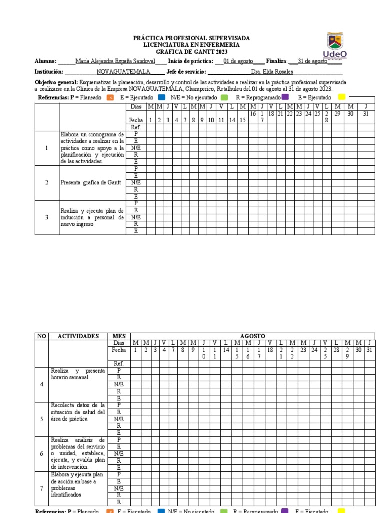 Grafica Gantt 2023 | PDF | Enfermería