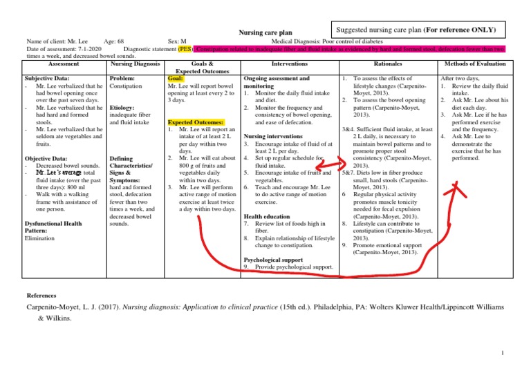 Nursing Care Plan | Download Free PDF | Constipation | Human Feces